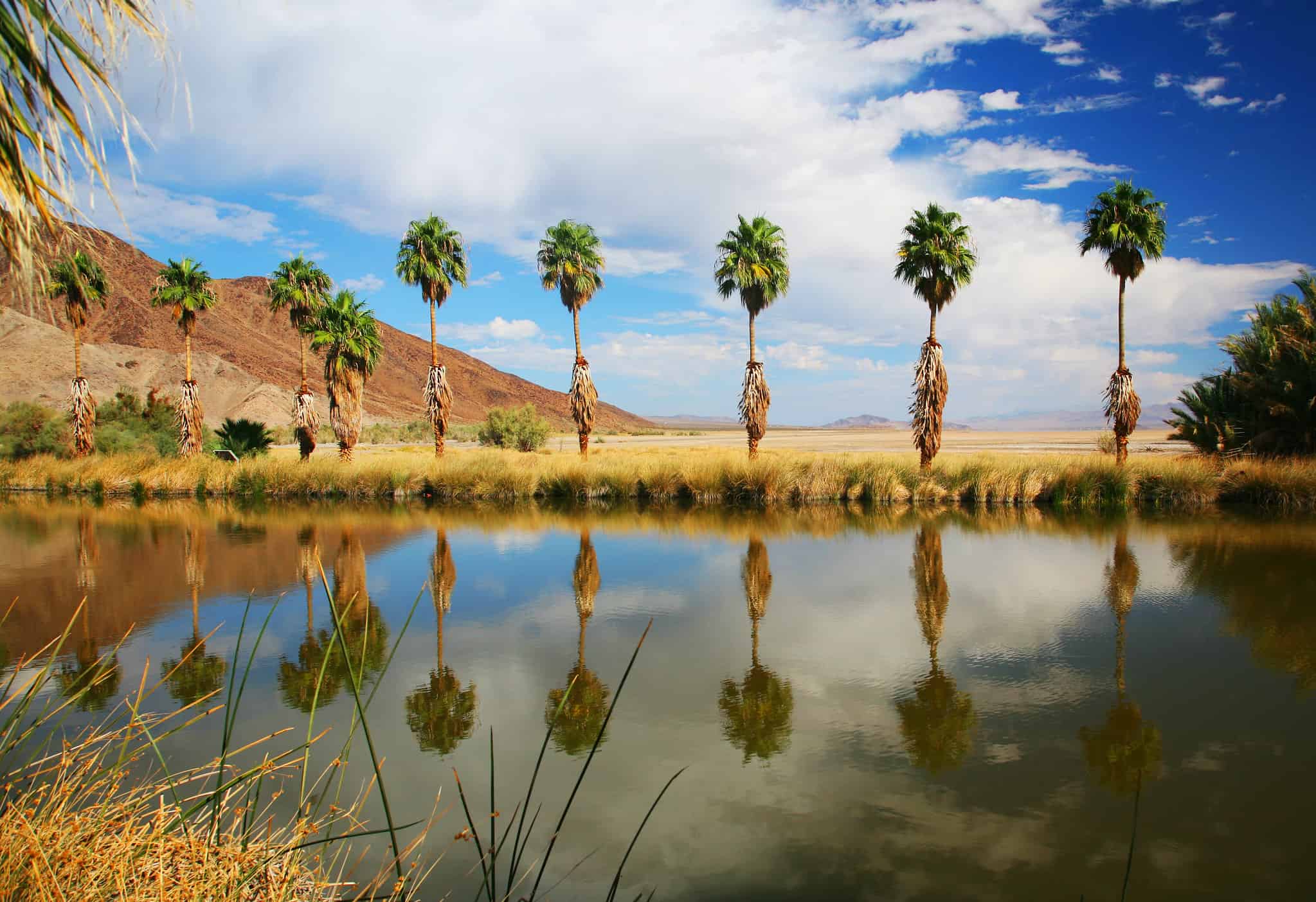 The Complete History of Zzyzx Road: A Trip Down California’s Most ...