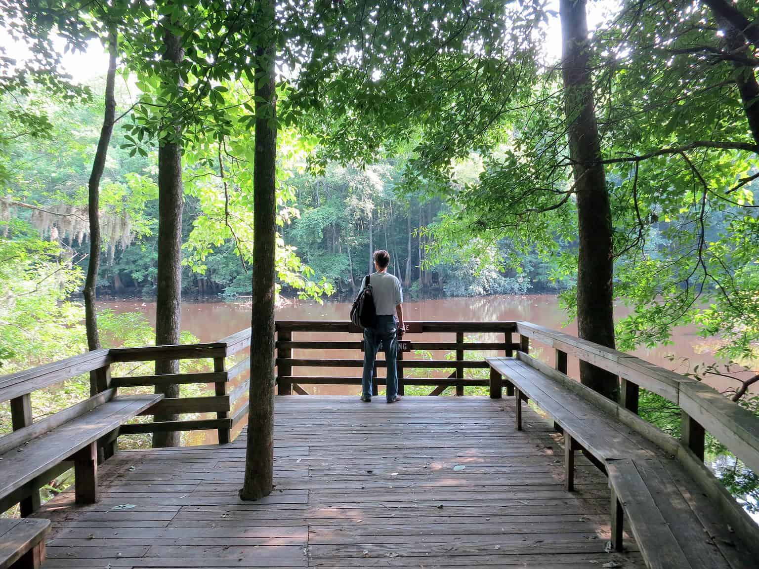 Things to Do at Congaree National Park: Camping, Hiking, Boating, and ...