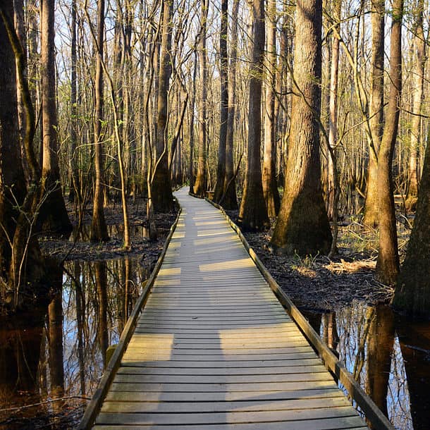 Cathedral Valley: The Must See, Must Do, Most Scenic Drive in Capitol Reef National Park – Dora ...