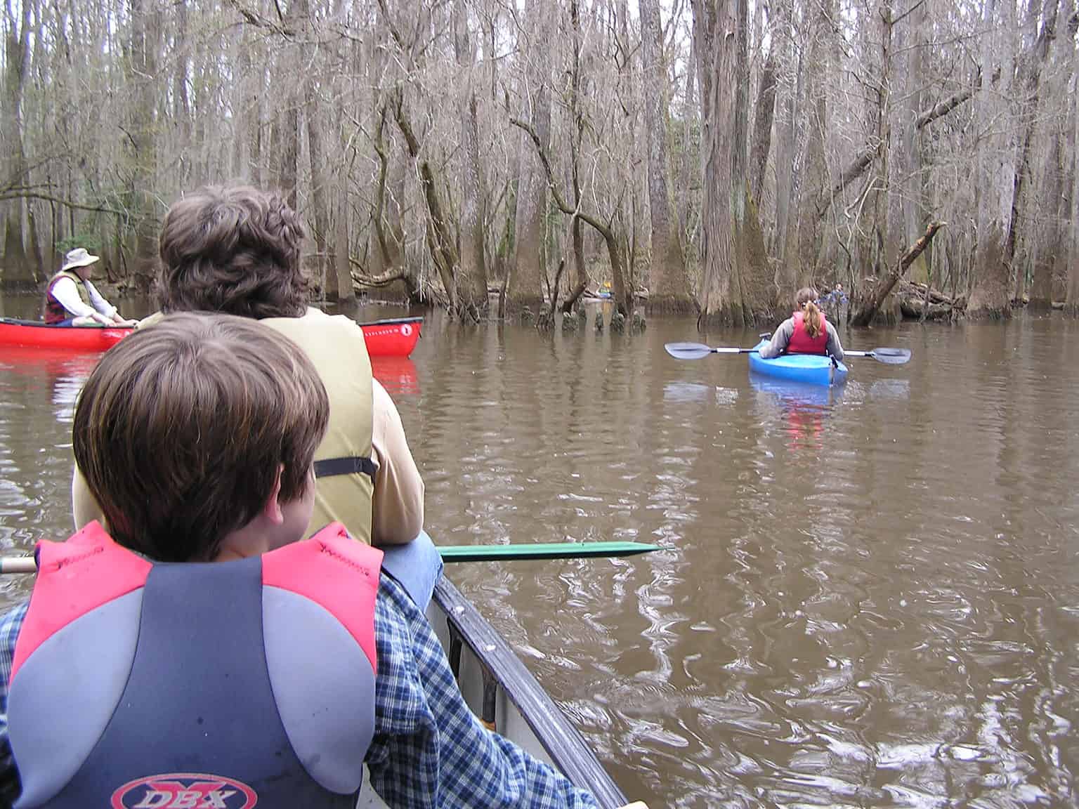 Things to Do at Congaree National Park: Camping, Hiking, Boating, and ...