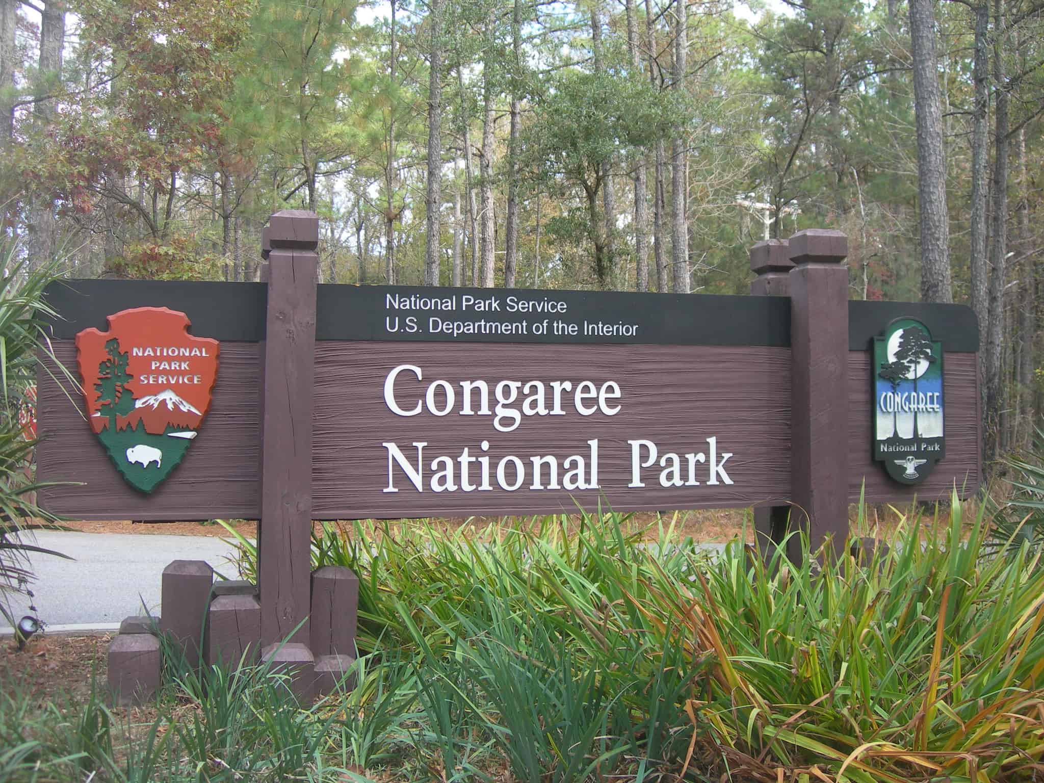 Things to Do at Congaree National Park: Camping, Hiking, Boating, and ...